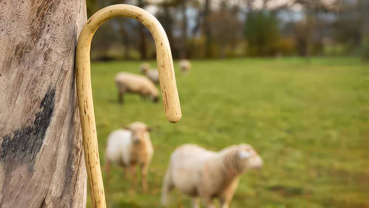 Psalm 23 - Sacred Selections